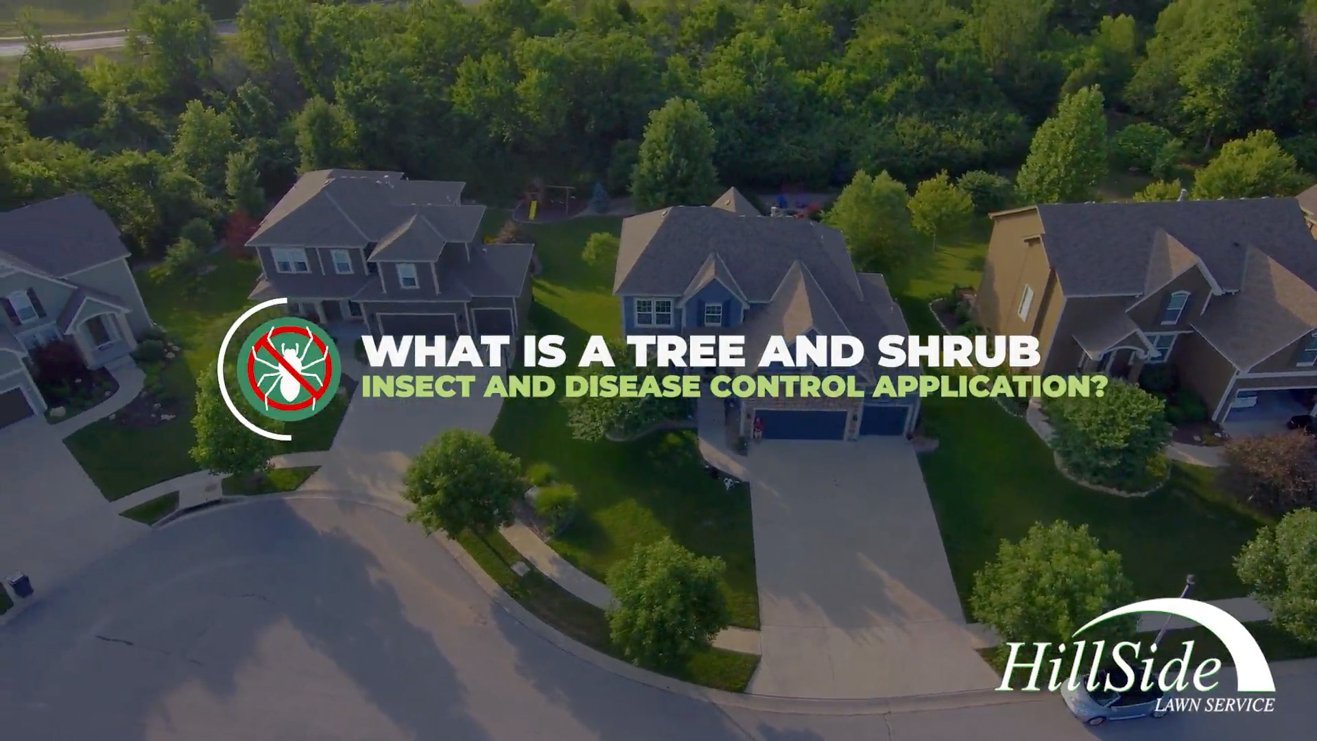 Tree and Shrub Insect and Disease Control Application - HillSide Lawn ...