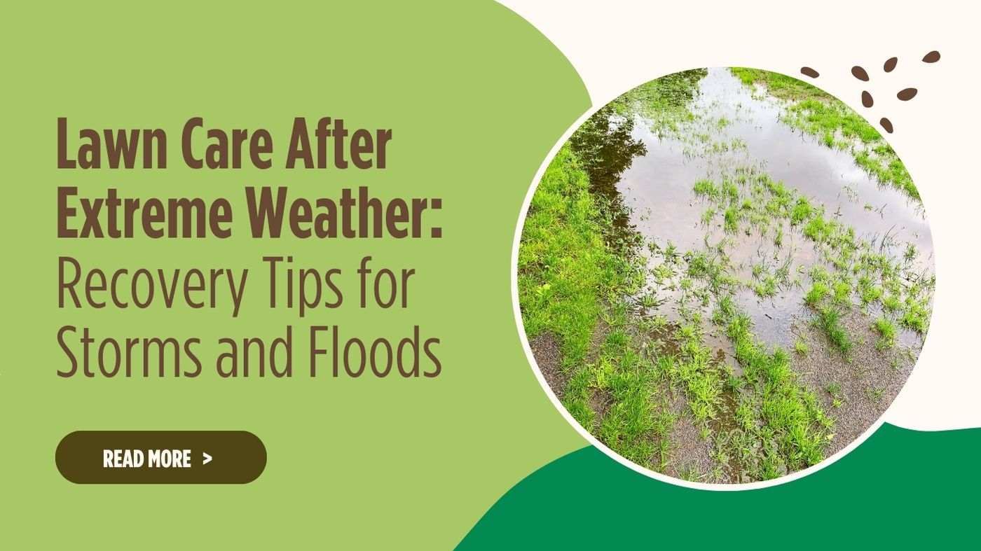 Lawn Recovery After Storms & Floods | HillSide Lawn Service Tips