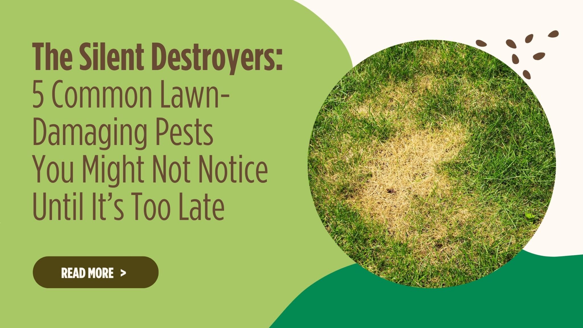 5 Common Lawn-Damaging Pests | HillSide Lawn Service