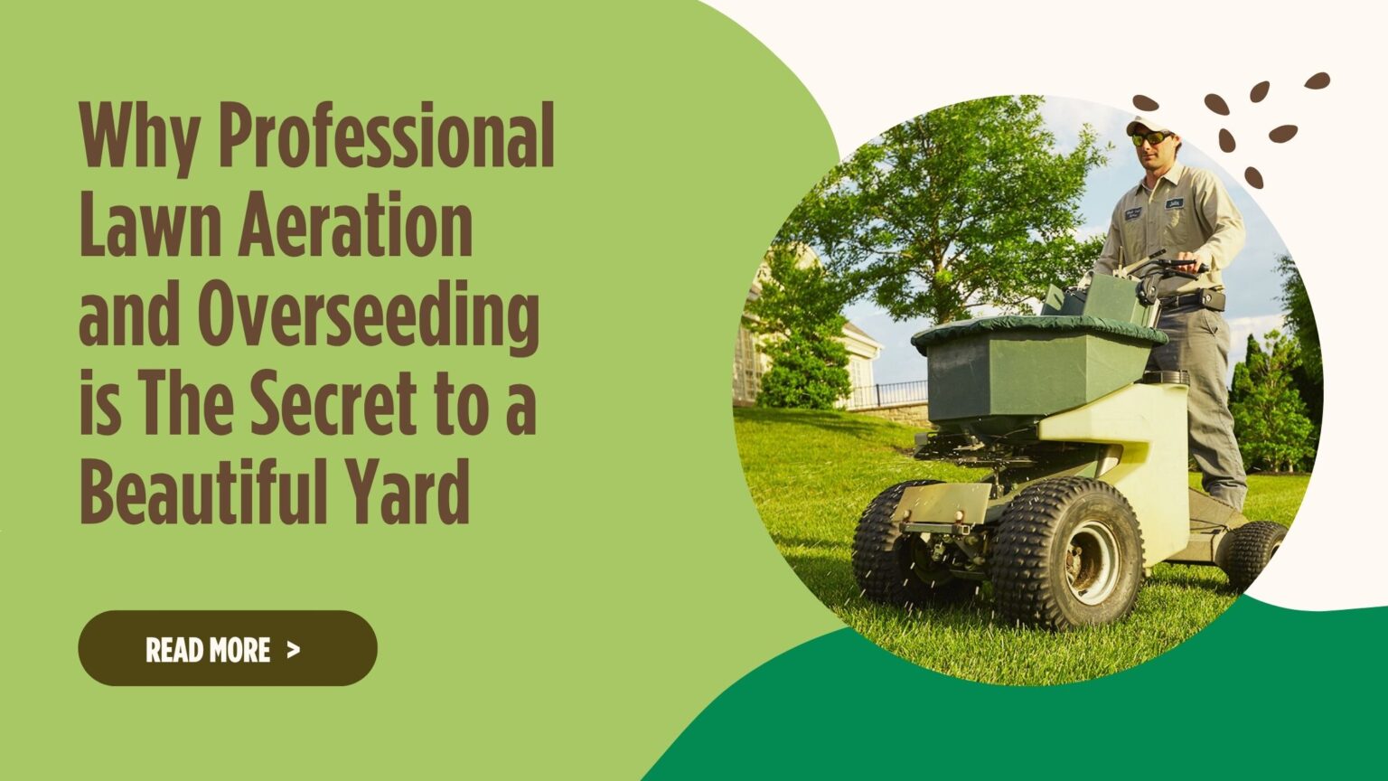 Why Professional Lawn Aeration and Overseeding is The Secret