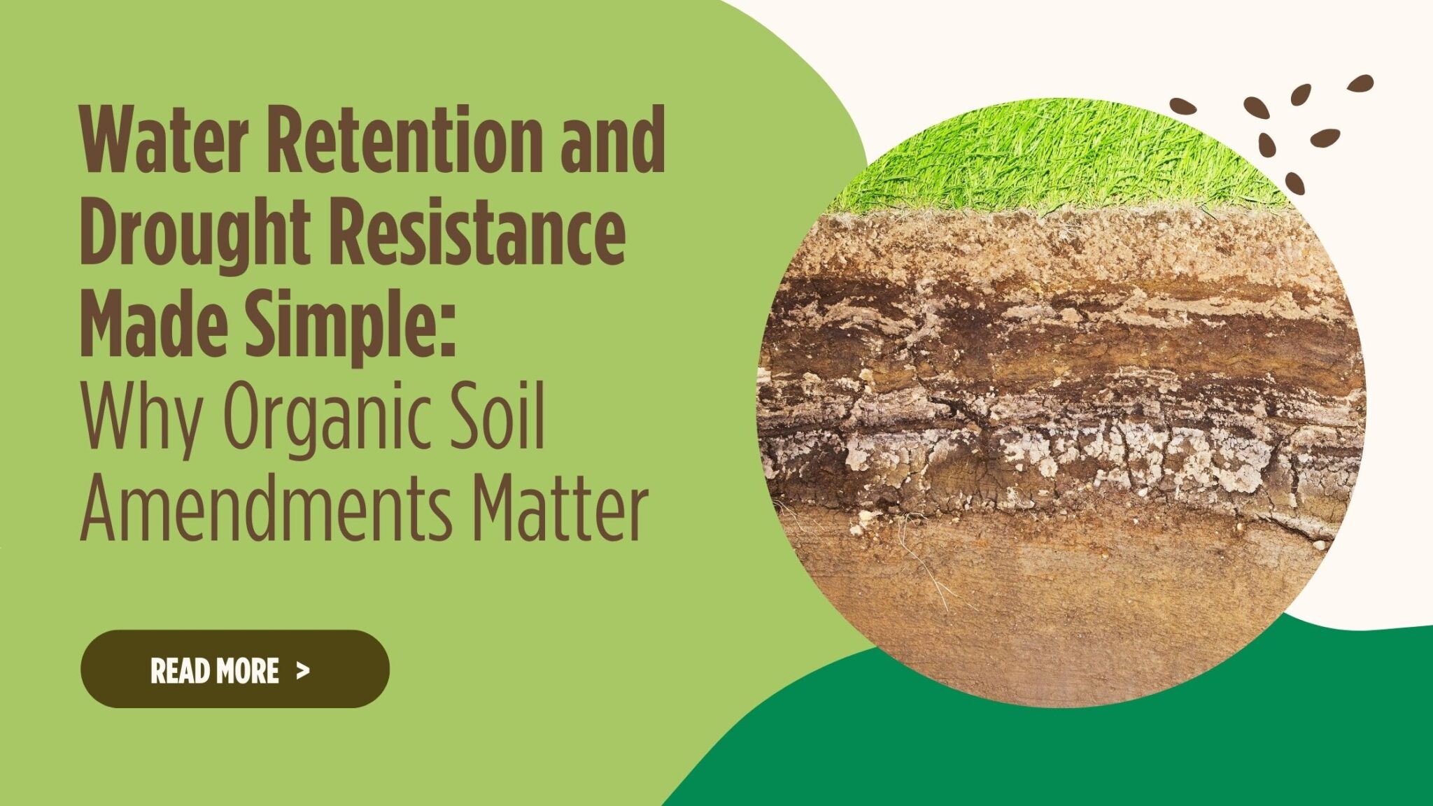 Water Retention and Drought Resistance | HillSide Lawn Service