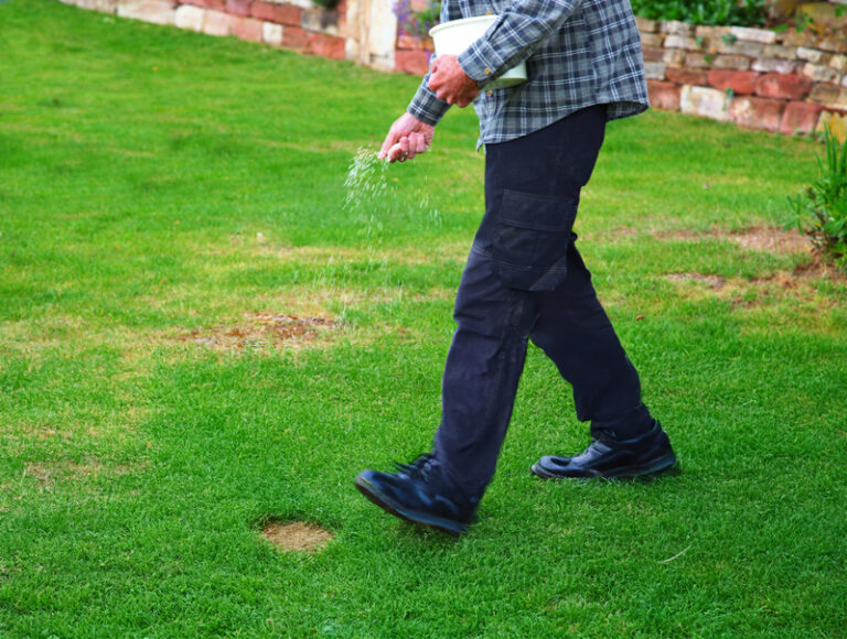 Lawn Care Services Company in MD, DE, PA - HillSide Lawn Service